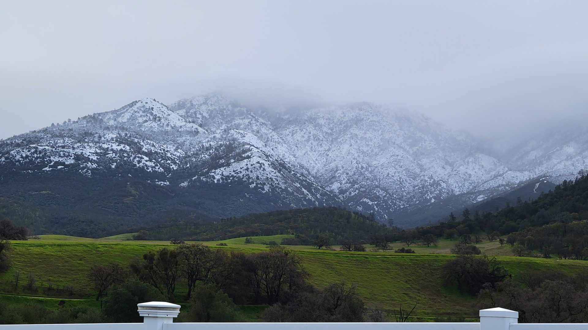 Today's View Of The Beautiful Snow Covered Mt. Diablo (And Surrounding ...