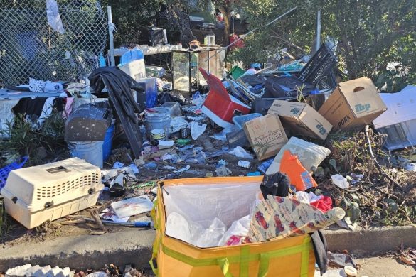 Homepage - CLAYCORD.com