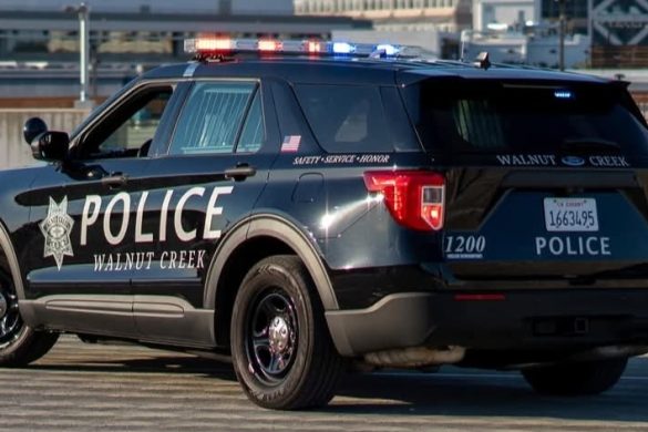 Homepage - CLAYCORD.com