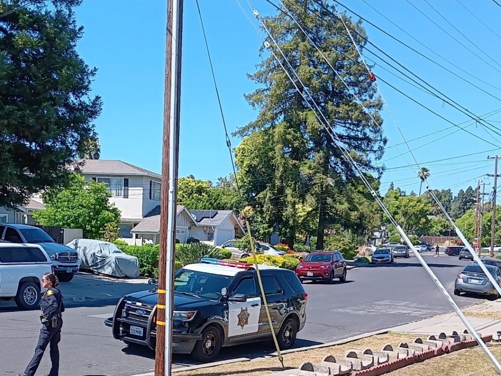 Concord Police Searching For Person Jumping Fences In Sun Terrace ...